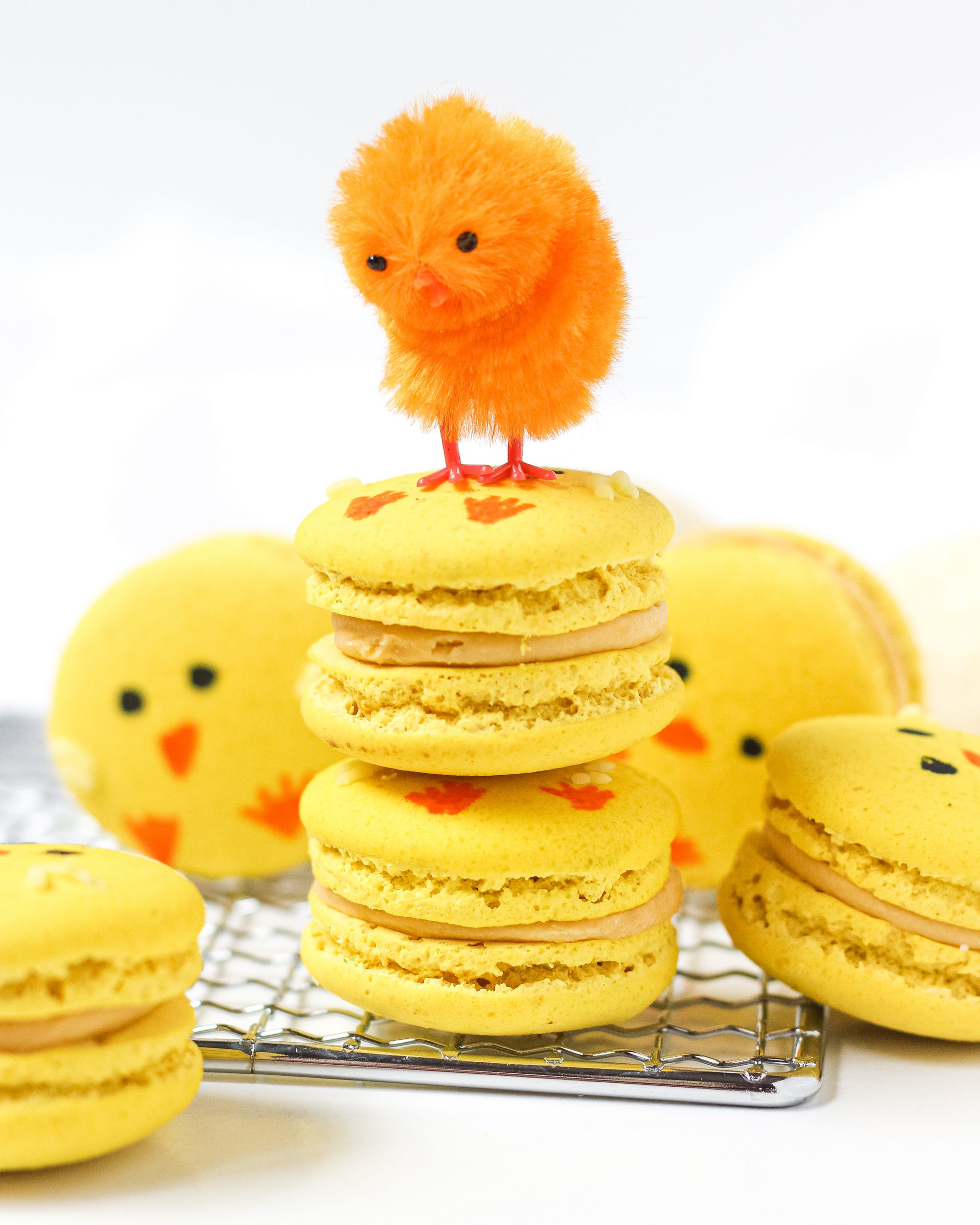 Set of 6 Easter Chick Macaron (Vegan) | Nutie Donuts